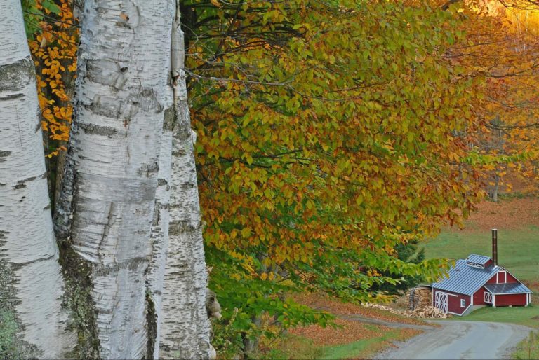 Things to Do in Norwich VT Archives - Norwich Inn